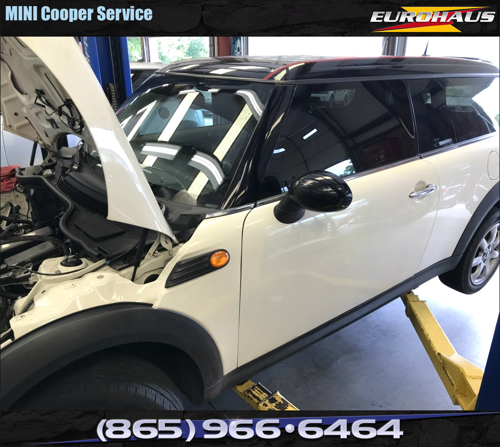 EuroHaus MINI Cooper Repair MINI Cooper Service MINI Cooper Repair ...